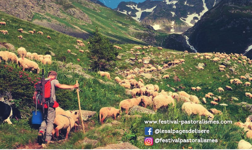 14e Festival du Film Pastoralismes et Grands Espaces - Actumontagne