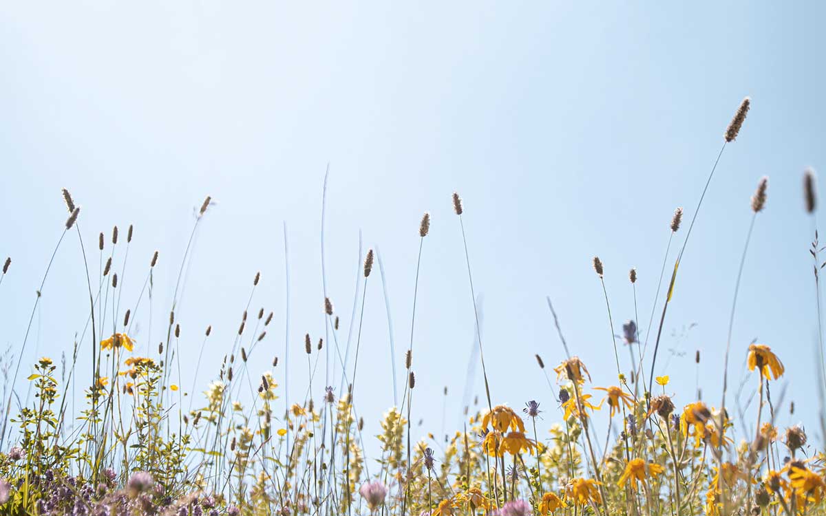 📝 Michaël Ruysschaert prendra la tête du CDT Savoie dès le mois d'avril ...